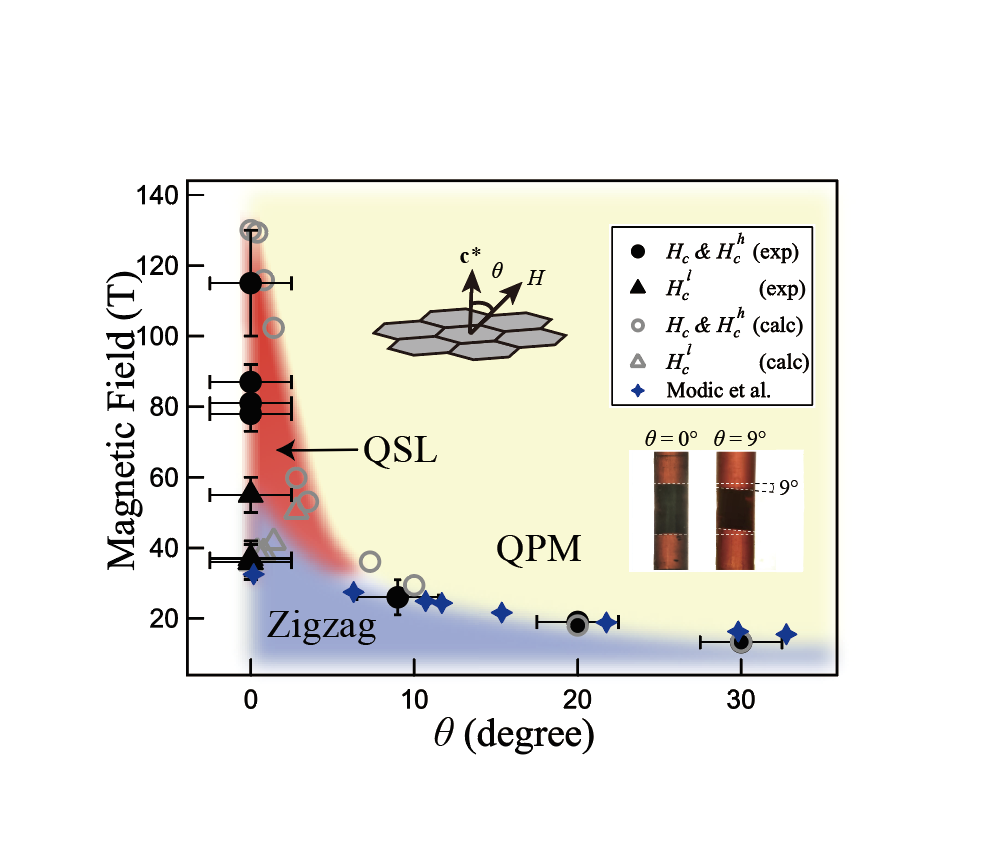 Possible intermediate quantum spin liquid phase in α-RuCl$_3$ under ...