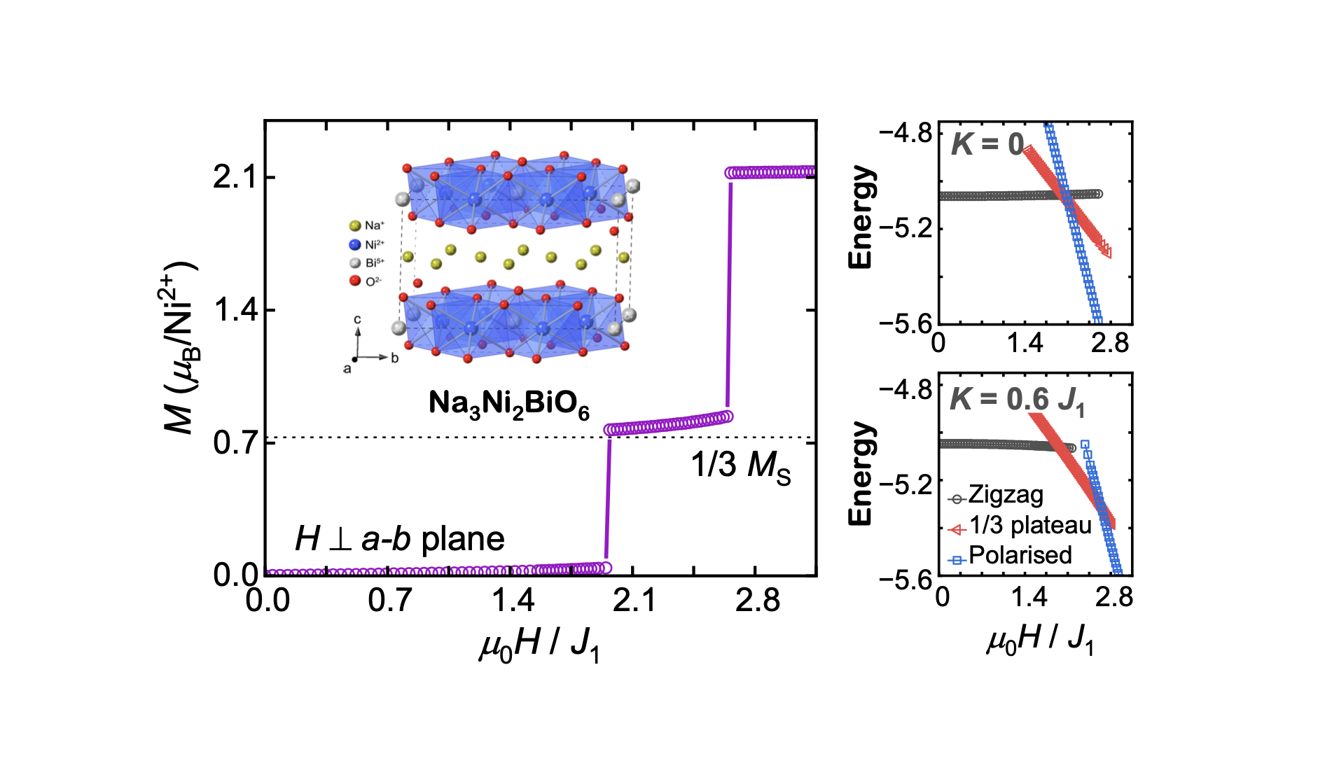 A one-third magnetization plateau phase as evidence for the Kitaev ...